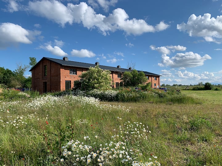 Raum Für Naturverbundene Gäste Am Salzhaff/ostsee - Boiensdorf
