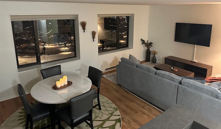 Cozy Condo In The Heart Of Downtown Monneapolis - Minneapolis