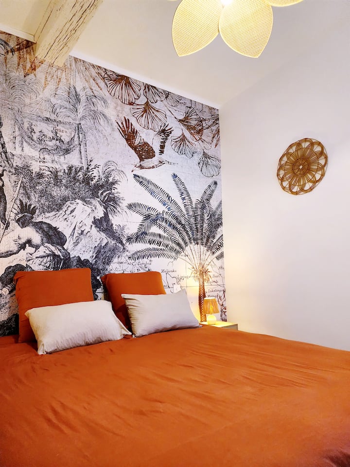 Zoé - T2 Hypercentre - Auch