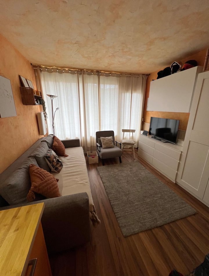 Apartamento A Pie De Pistas La Pierre - La Pierre Saint Martin