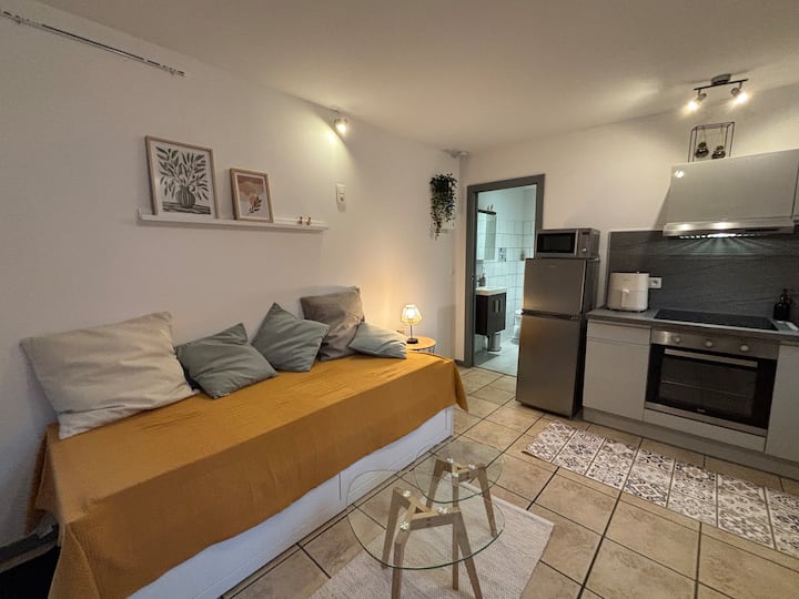 Studio Des Thermes - Passy