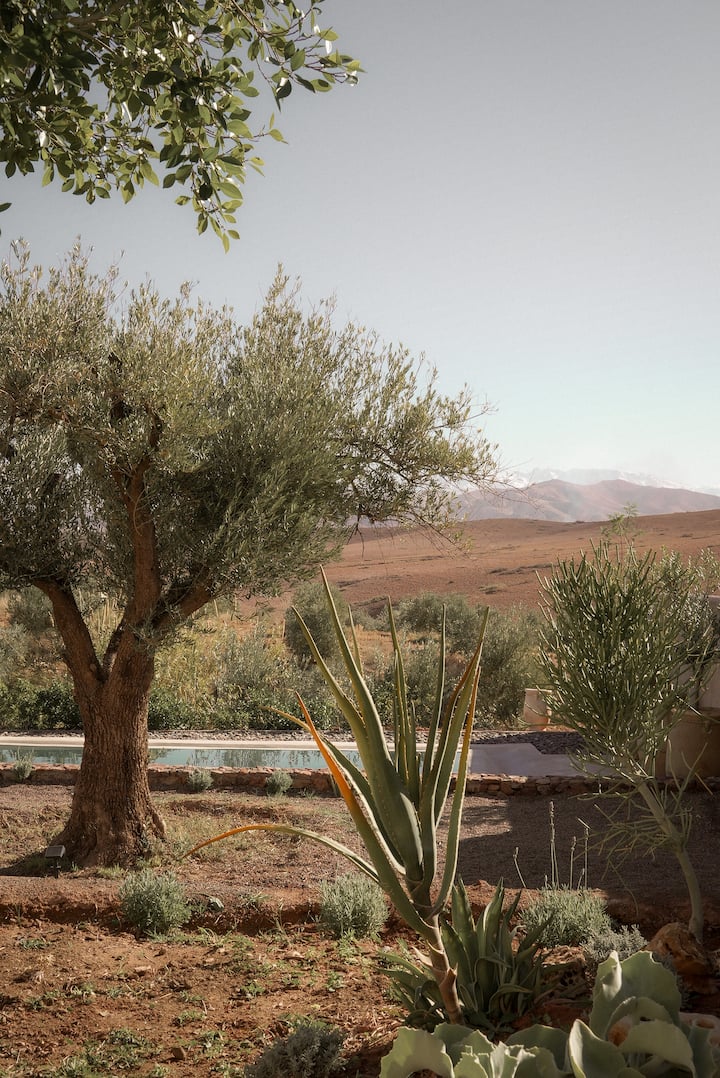 Maison Bohème Chic, Piscine Privée, Vue Atlas - Maroc