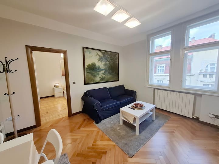 ÚTulný Byt Vedle Centra - Praha 2 - Praga