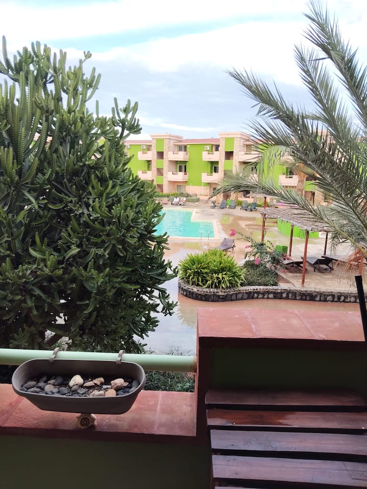 Tartarugas & Andorinhas - Cap-Vert