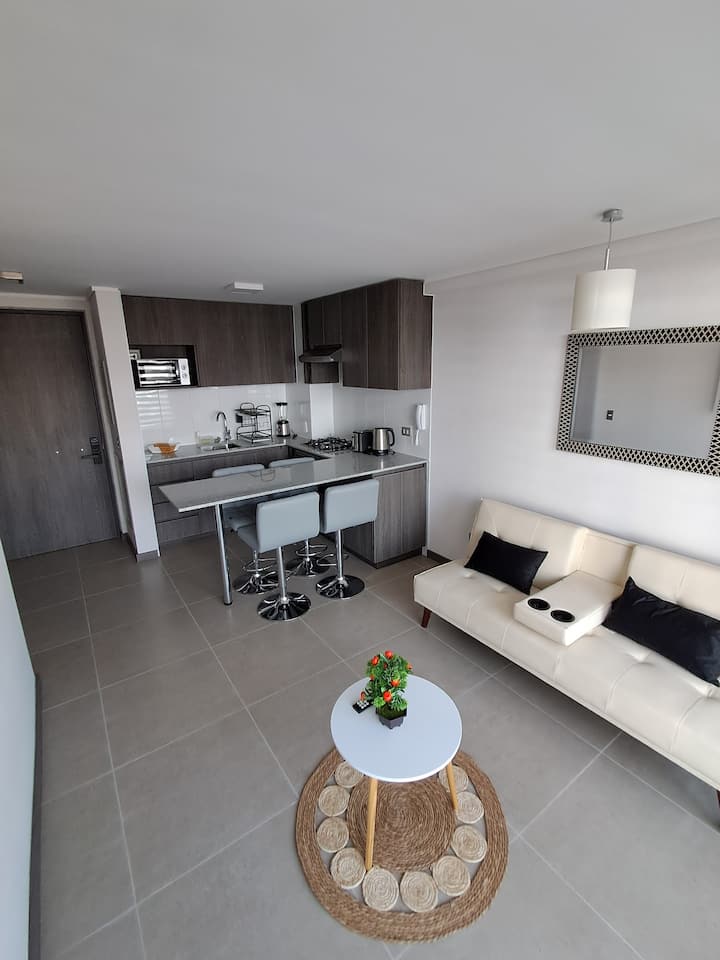 Departamento A Pasos Del Mar, Playa Brava Iquique - Iquique