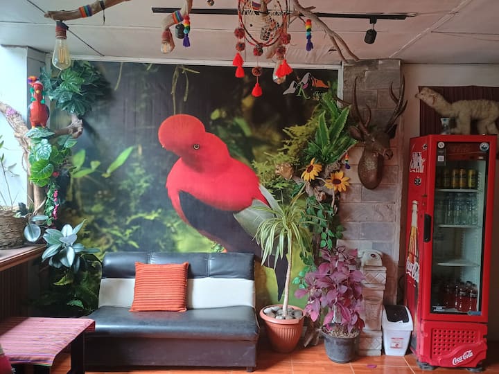 Hospedaje En Machupicchu Pueblo - Aguas Calientes