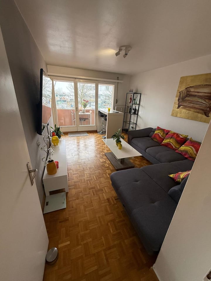 Modern City Apartment With Balcony Basel - Huningue