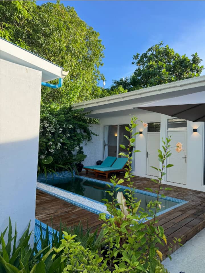 Whale Shark Villa - Maldives