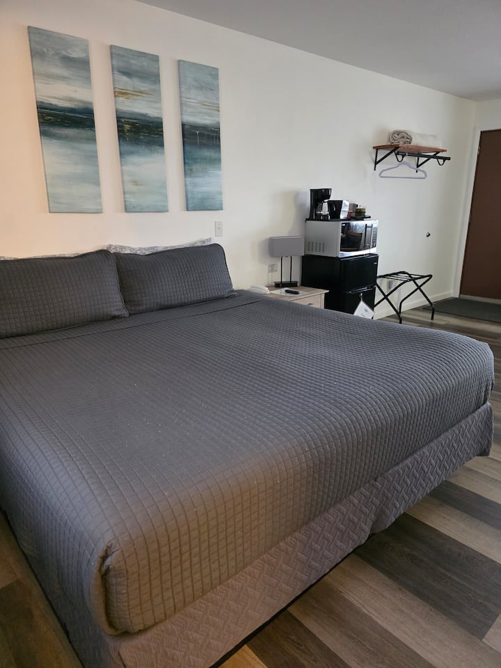 Motel Room 11- Dog-friendly & No Cleaning Fee! - Indian River, MI