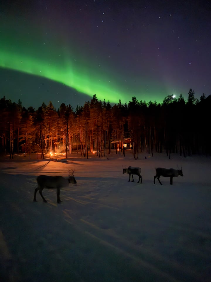 Erämökki Omassa Rauhassa Järven Rannalla Ivalossa. - Ivalo