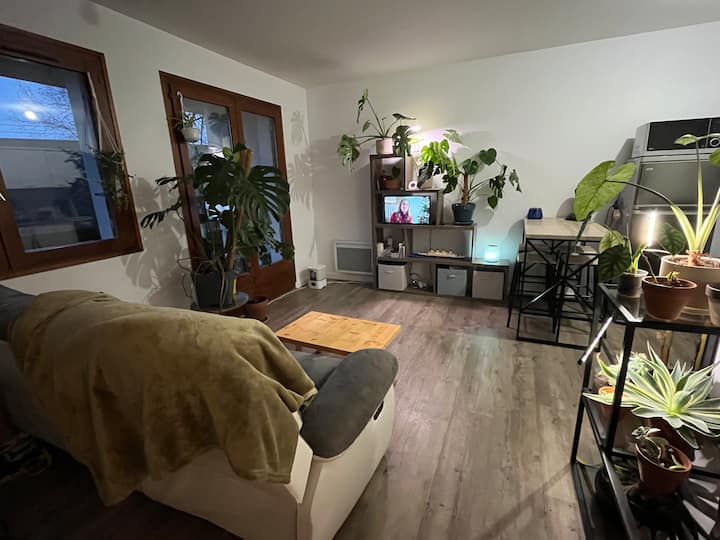 Studio De 28 Mètres Carrés /Couchage 3 Personnes - Rumilly