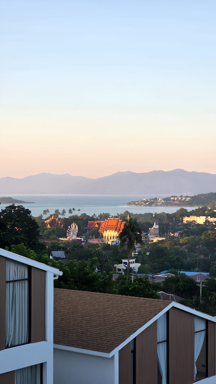 D1 Brand New Villa 3br Best Seaview Dao-1 Panda - Koh Samui