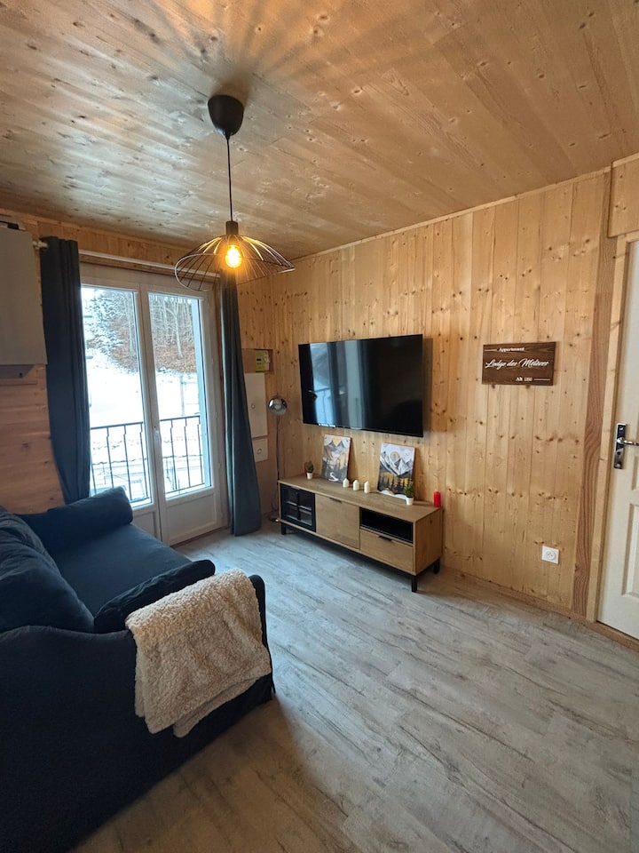 Lodge Des Mélèzes - T3 Cosy Pied Des Pistes 5 Pers - Ancelle