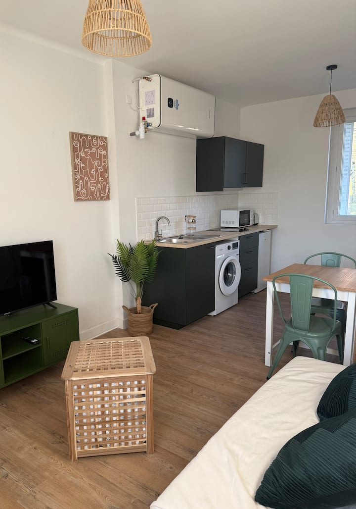 Charmant T2 Entièrement Rénové, Au Calme - Salies-du-Salat