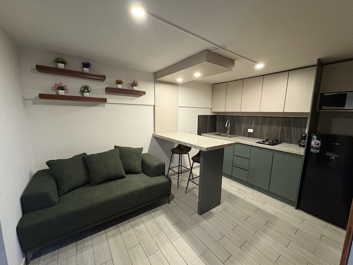 Executive Dept - Saltillo