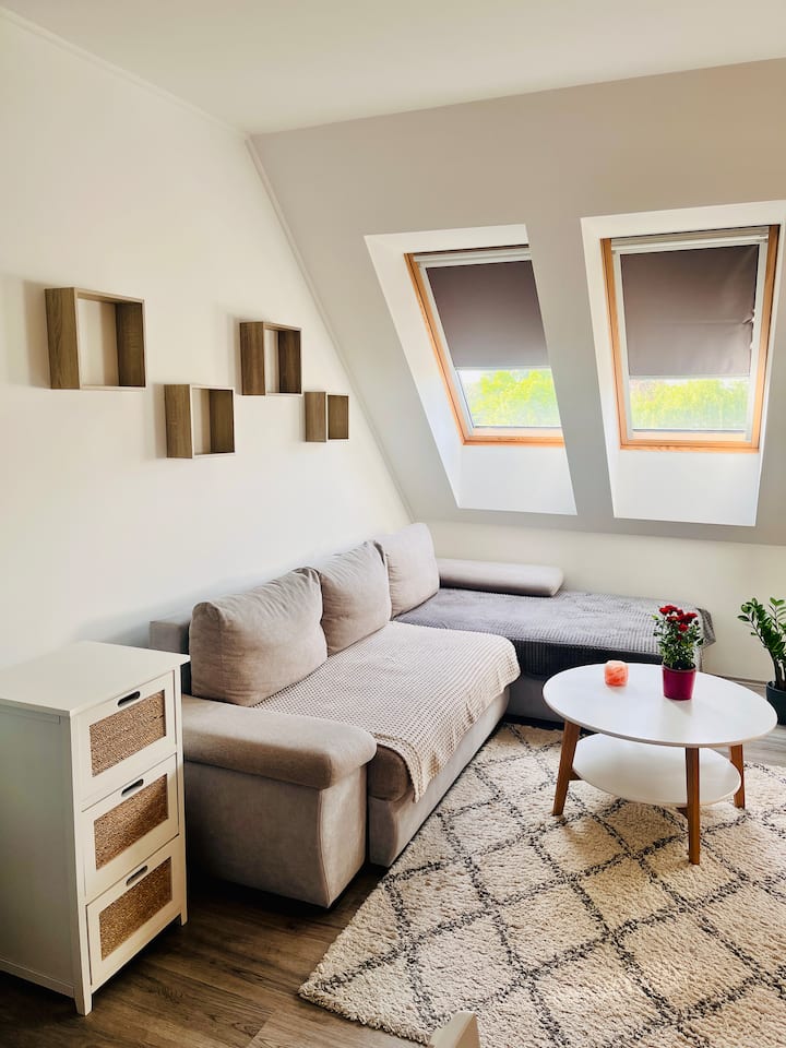 Kétszintes Lakás Közel Belvároshoz - Győr