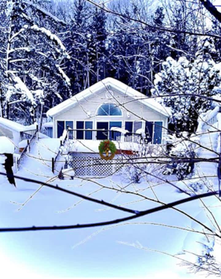 Lakefront Cabin W/free Pontoon & Private Dock - Greenville, MI