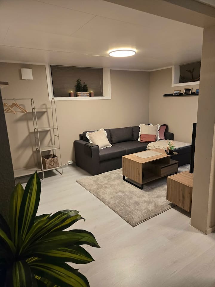 Joana & David - Tromsø