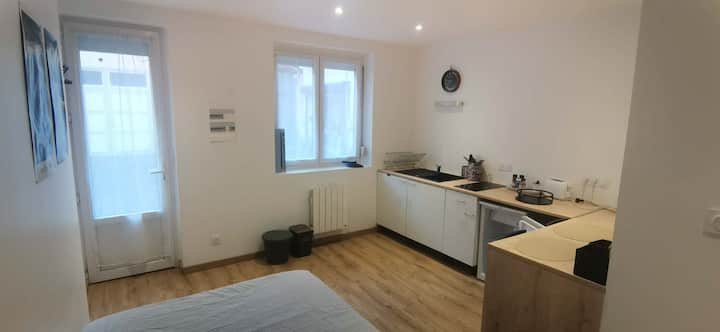 Saint-étienne : Studio Agréable En Hyper Centre - Saint-Étienne
