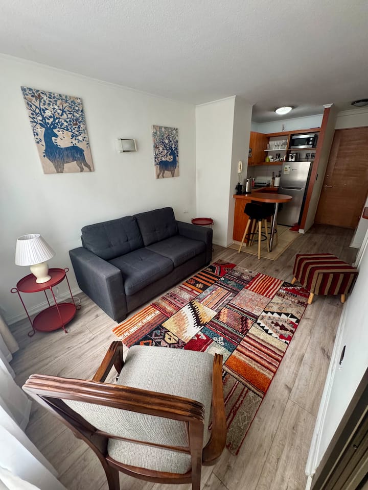 Departamento Céntrico Santiago (Cama Matrimonial) - Santiago