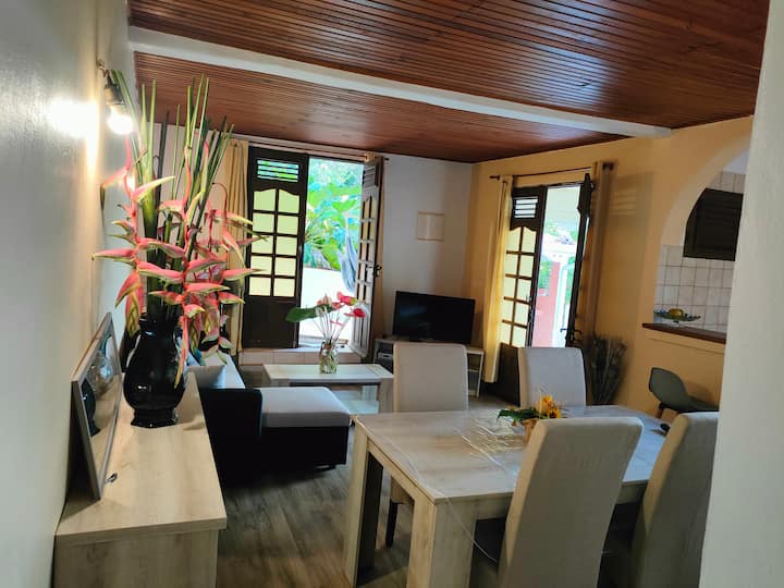 Bromélias - Martinique