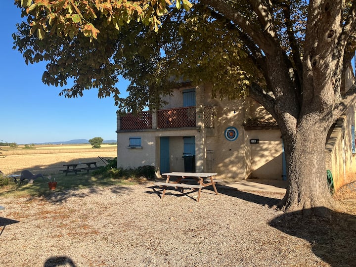 Uniek Huisje In De Lavendelvelden - Valensole