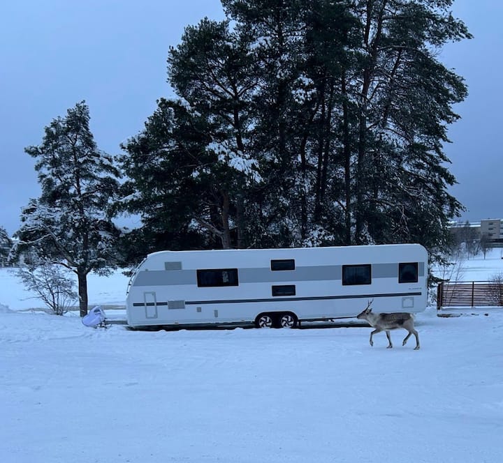 Aurora Luxus - Rovaniemi