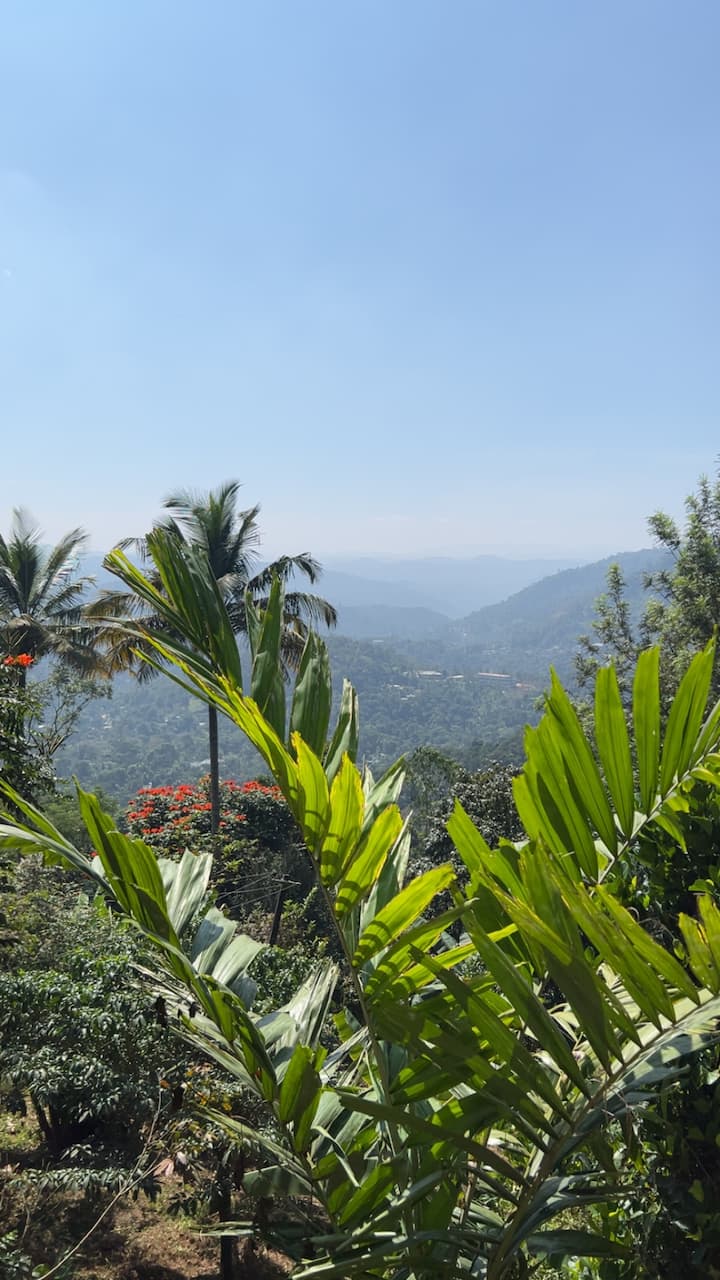 Munnar Stays - Perfect Group Holiday - Munnar