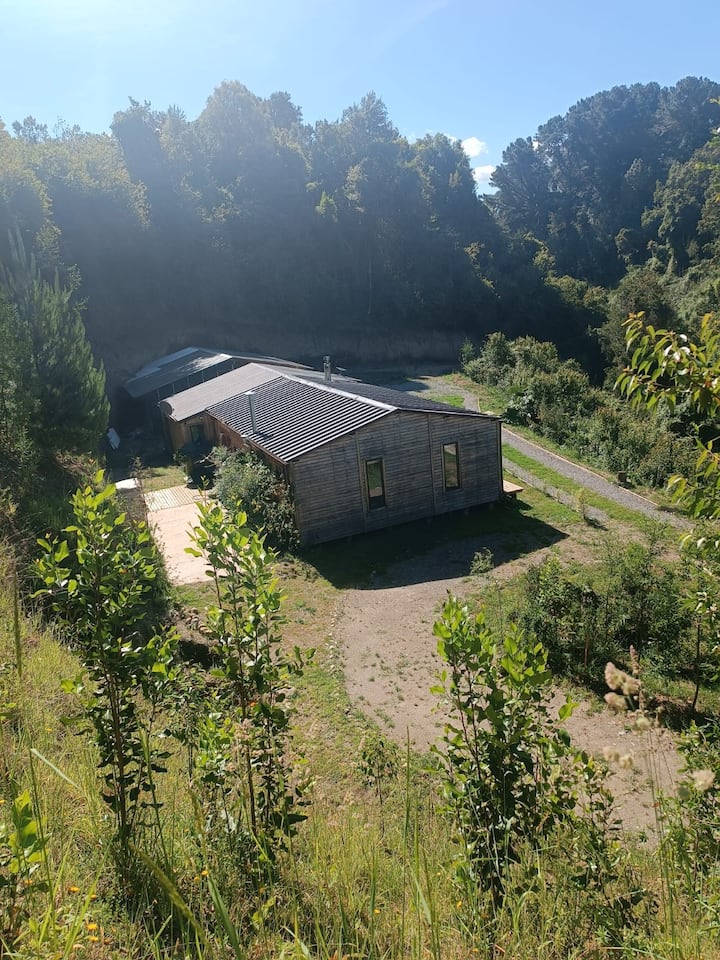 Frutillar-espectacular Casa Rústica En El Bosque - Frutillar
