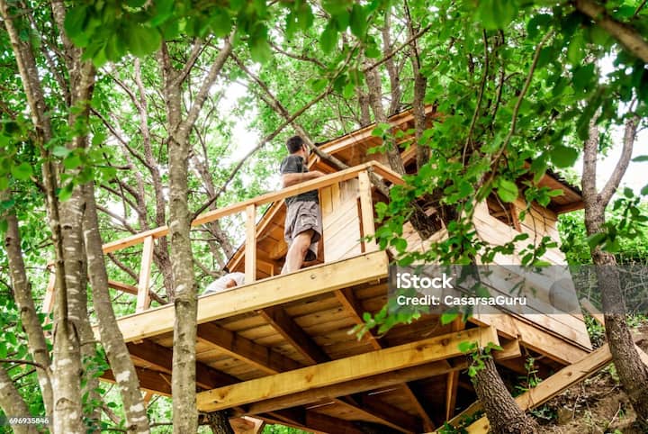 Verona Listing - Albarella