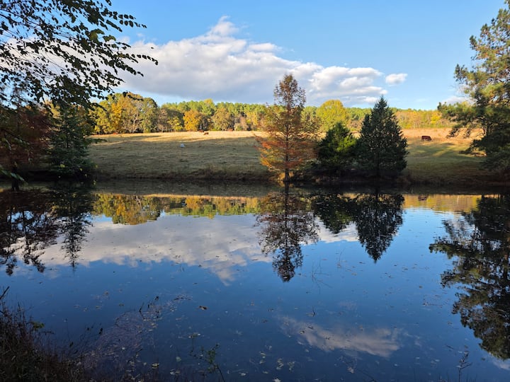 The Sanctuary At Salem Lake - Winston-Salem, NC