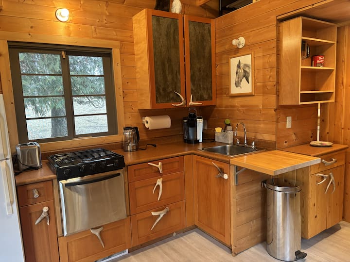 Rustic Cabin At Philips Lake - Blind Bay
