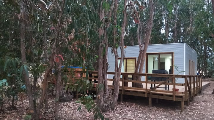 Casa Mediterranea: Bosque, Playa Y Tinaja - Chile