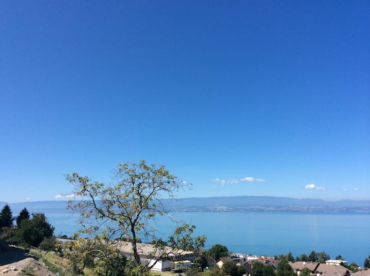 Les Terrasses Du Léman - Évian-les-Bains