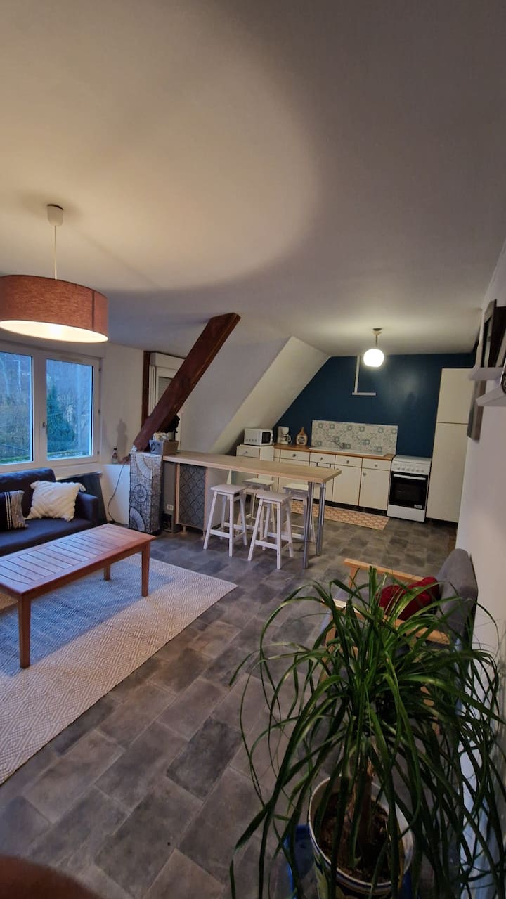 Charmante Maison Dans Petit Village De Campagne - Chambon-sur-Lac