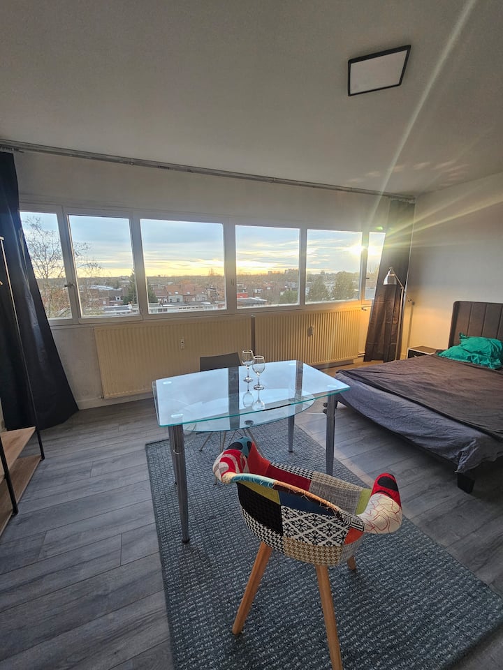 Magnifique Vue Proche De Lille - Marcq-en-Barœul