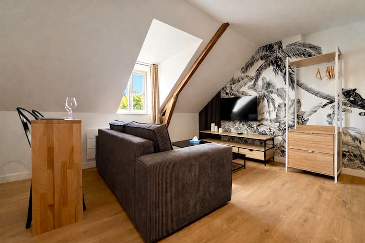 Palm Studio - Wifi - Centre - Pontivy