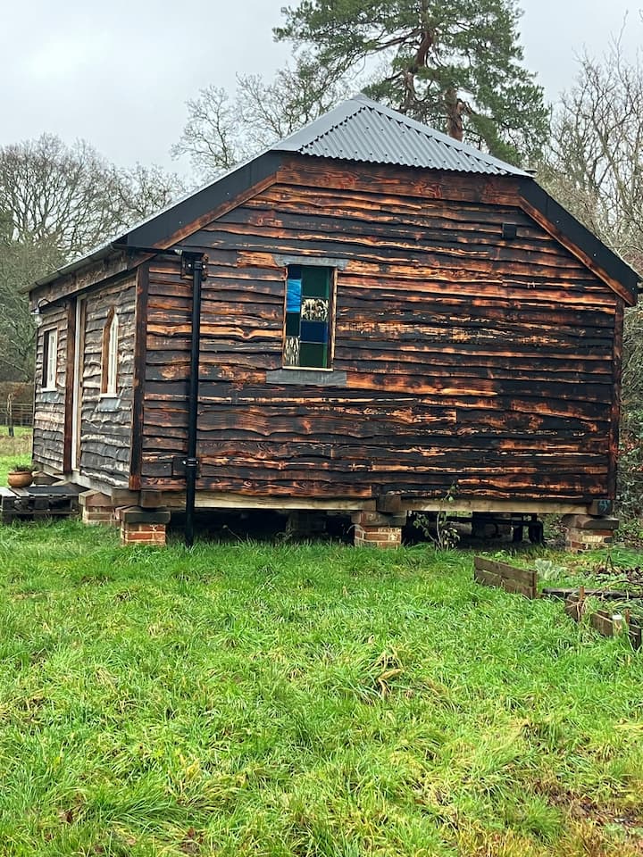 Mushroom House - Midhurst