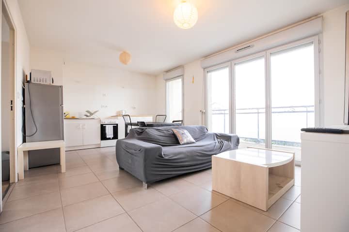 Bel Appartement Lumineux Avec Balcon – Lyon 7 - Lyon