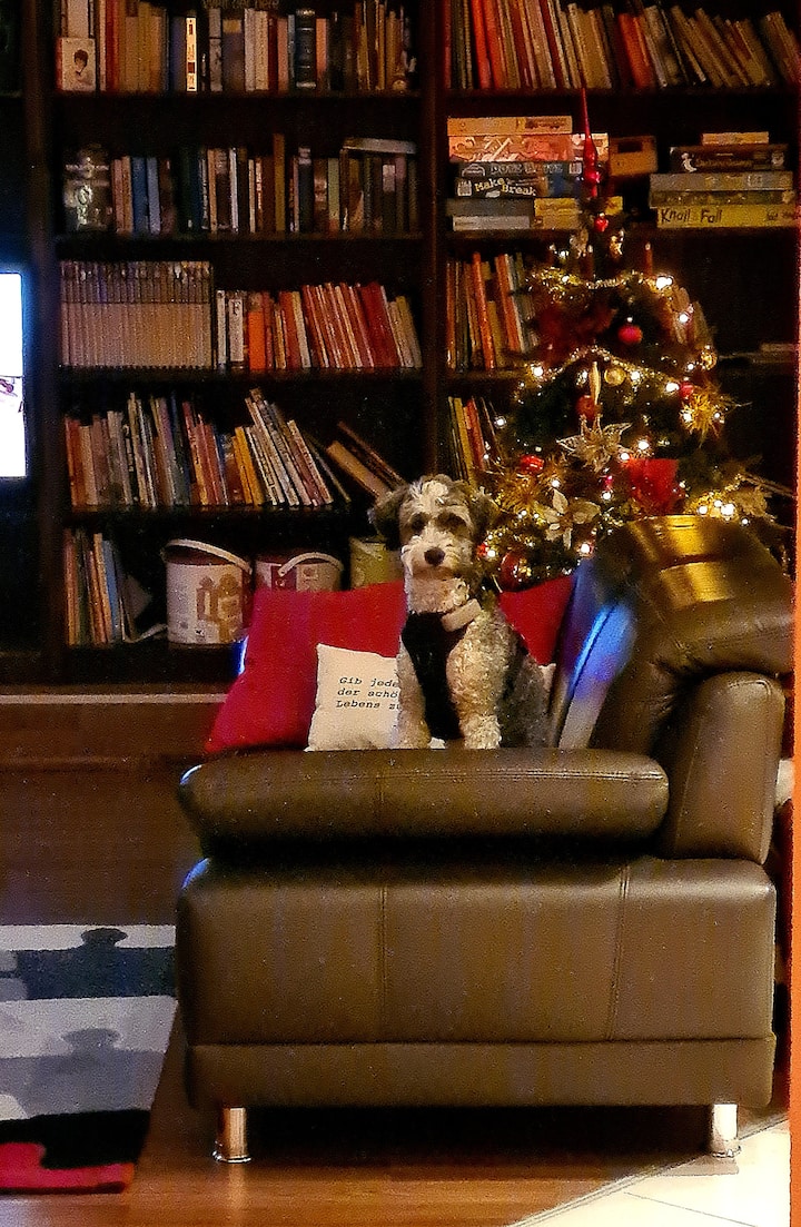 Wohnung In Wernigerode - Wernigerode