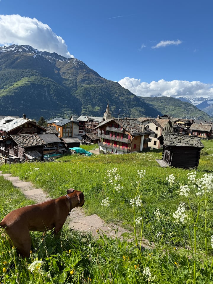 1br Alpine Retreat W/ Ski Access & Terrace - Grächen