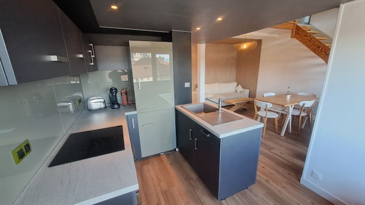 Duplex, Centre Ville Thonon Les Bains - Thonon-les-Bains