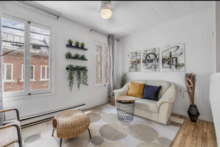 Logement Vieux -Québec - Levis