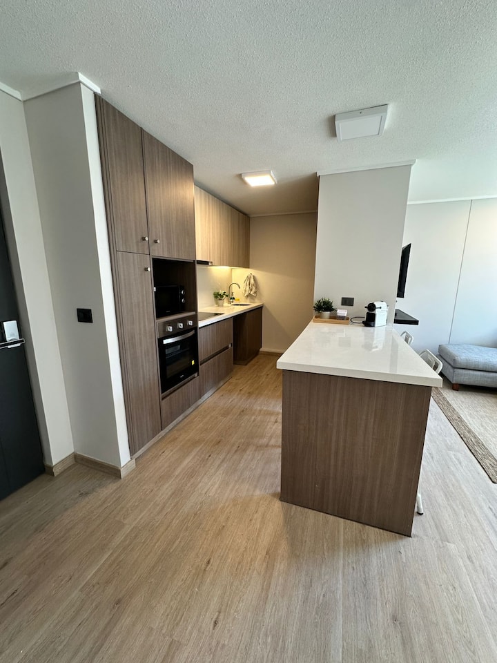 Departamento Moderno En Providencia - Providencia
