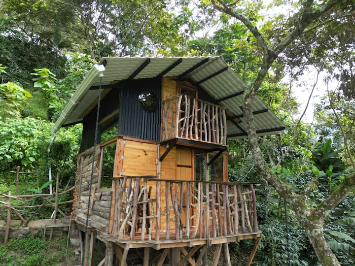 Cabaña Las Dos Aguas - Finca Flora Del Rio - Buenavista