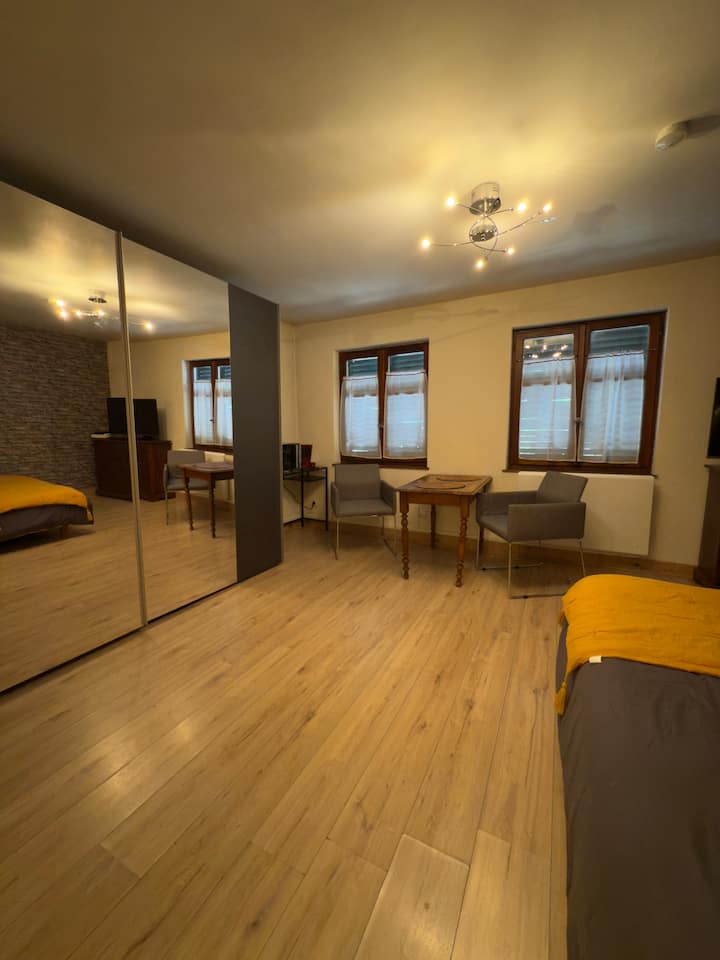 L’appartement Au Bord De La Petite France - Strasburgo