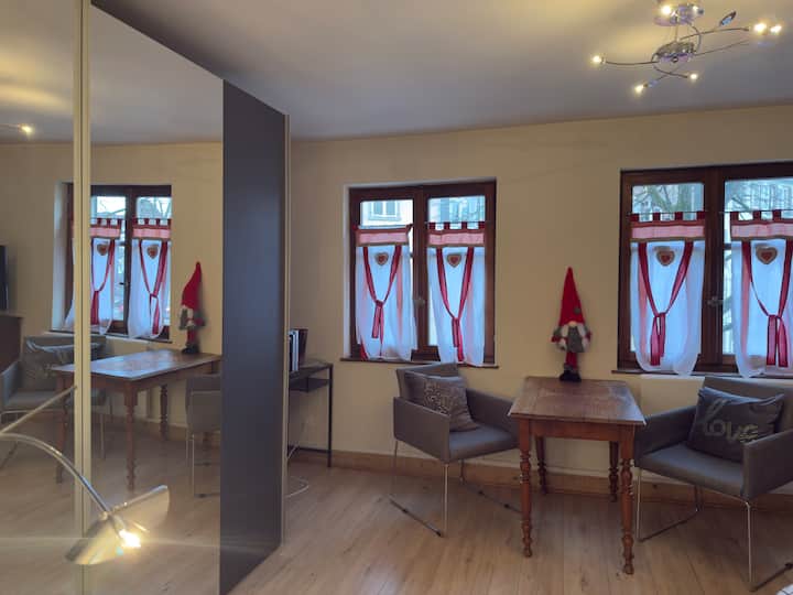 L’appartement Au Bord De La Petite France - Strasbourg