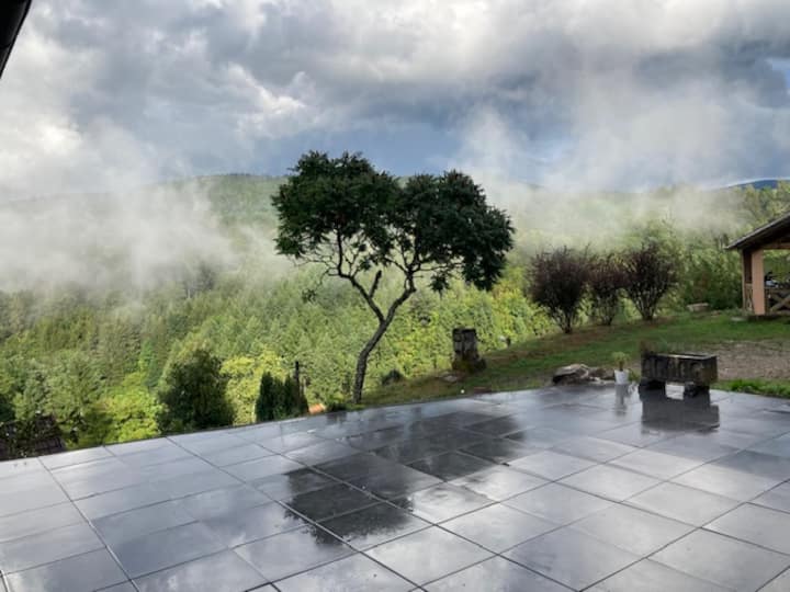 Chalet Isolé Dans Les Vosges
Into The Wild - Rosheim