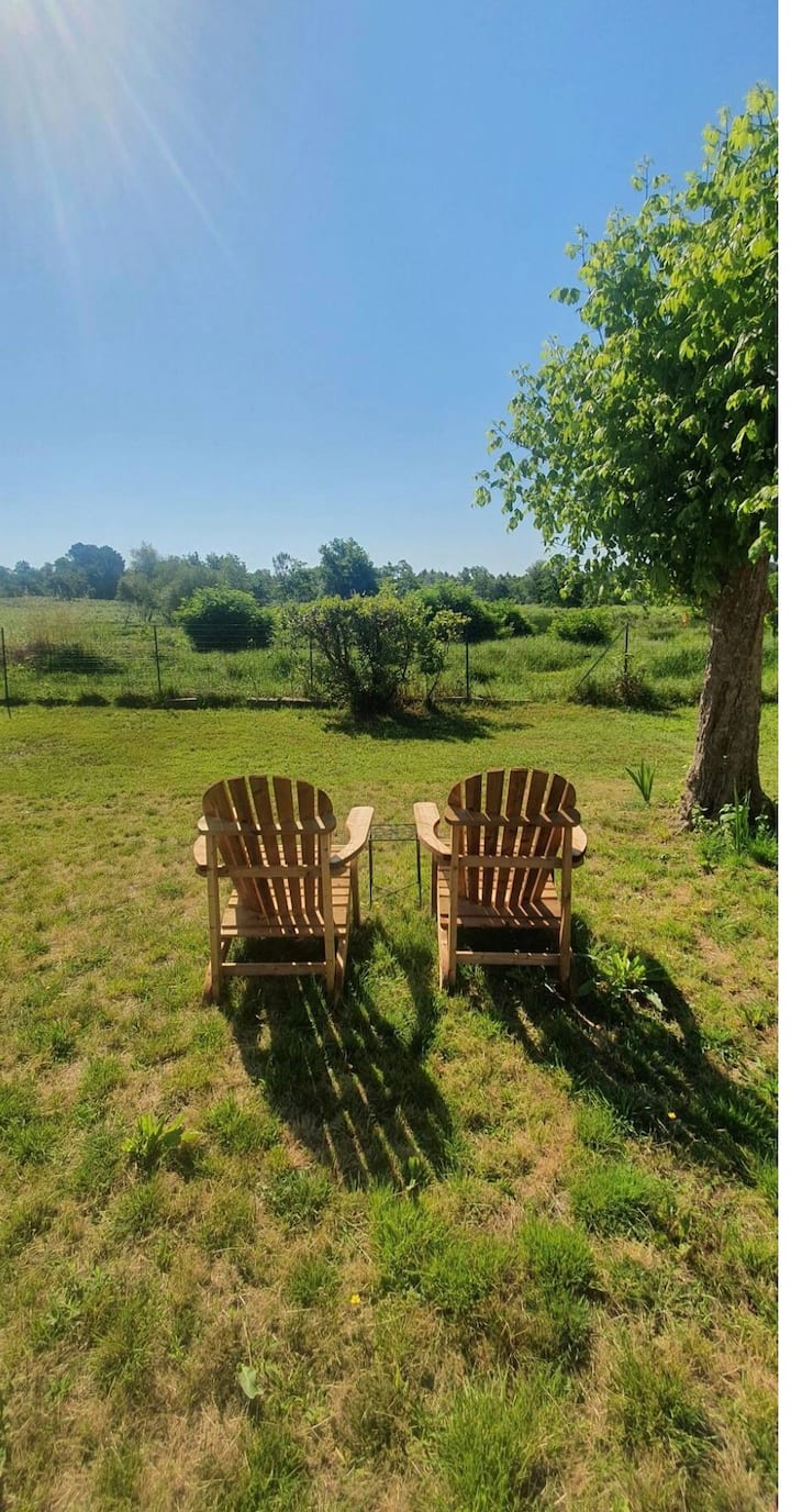 Charmante Maisonnette De Vacances,  Proche Lac - Sanguinet