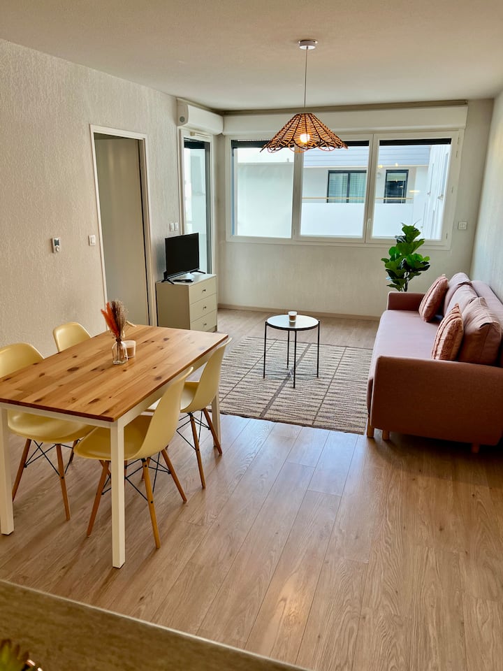 Spacieux Et Central Appartement à Toulouse - Toulouse